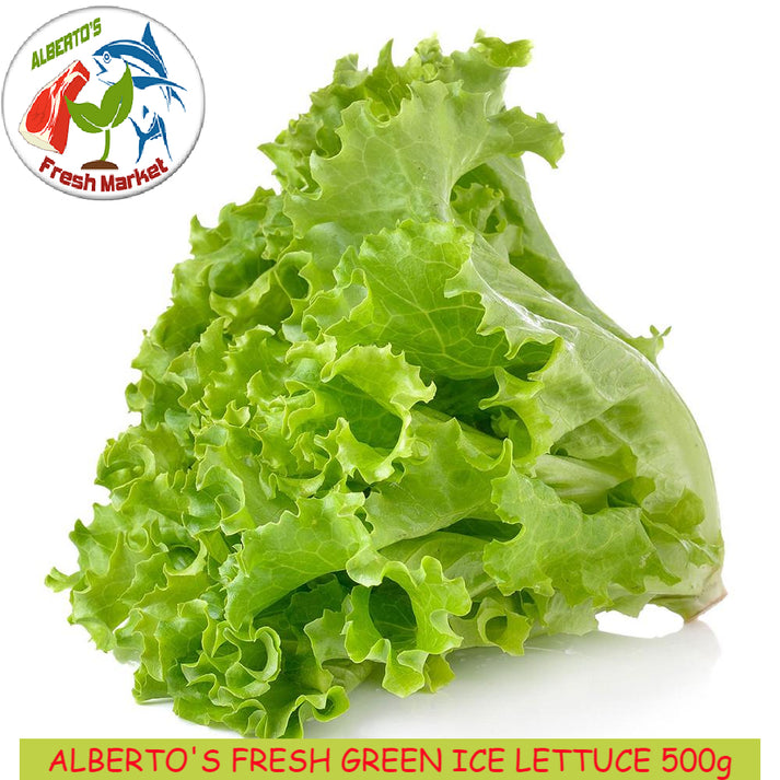 FRESH VEGETABLES GREEN ICE LETTUCE 500 grams – Alberto's Fresh Market