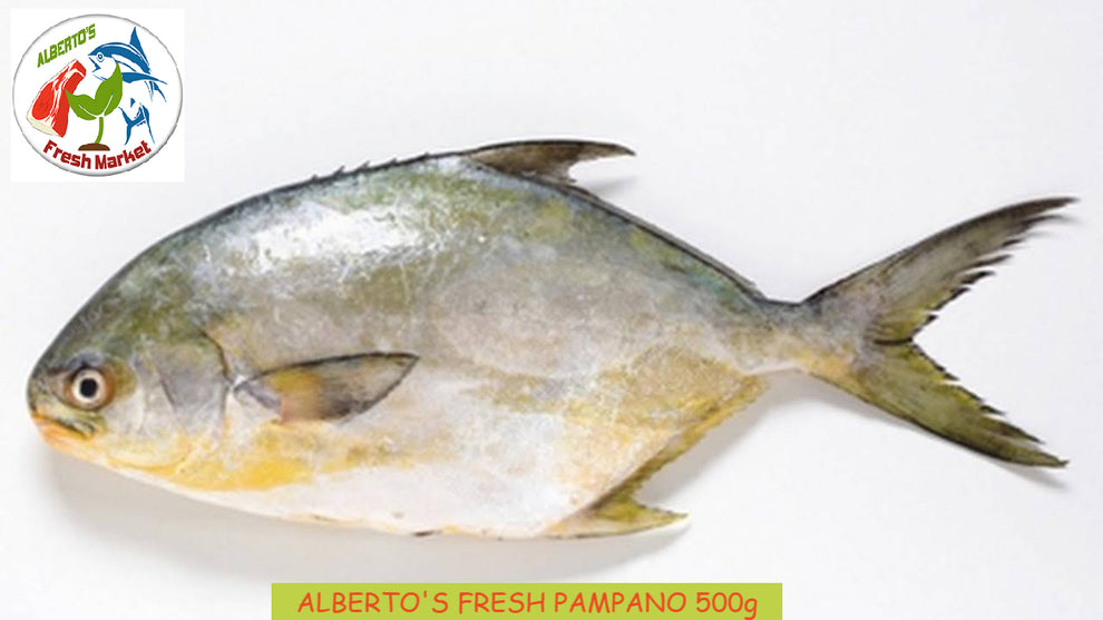FRESH SEAFOODS PAMPANO FISH 500 grams – Alberto's Fresh Market